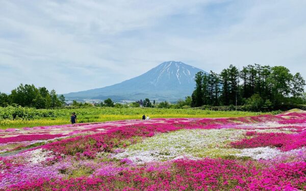 Fun Things To Do in Niseko During Summer Season - The Private World